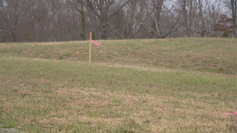 Dade County residents voice safety concerns over proposed energy ...