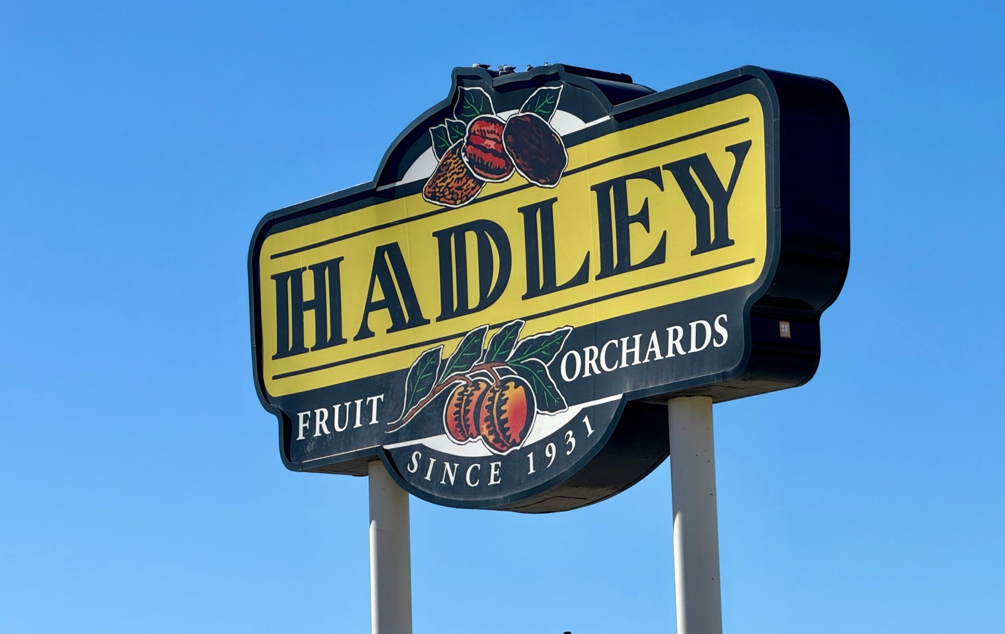 Hadley Fruit Orchard now serves date-flavored soft serve