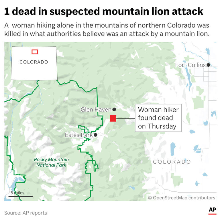 Man fought off a mountain lion weeks before a suspected fatal Colorado ...