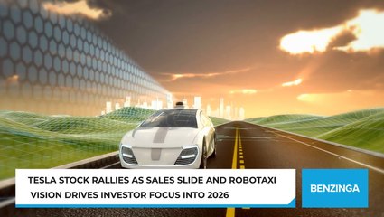 Tesla stock rises as sales fall