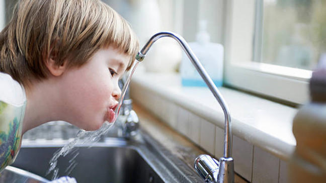 Study finds high PFAS levels in Northwest Georgia residents' blood samples