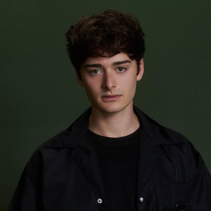 Fact check: What we know about the Noah Schnapp Stranger Things rewatch ...