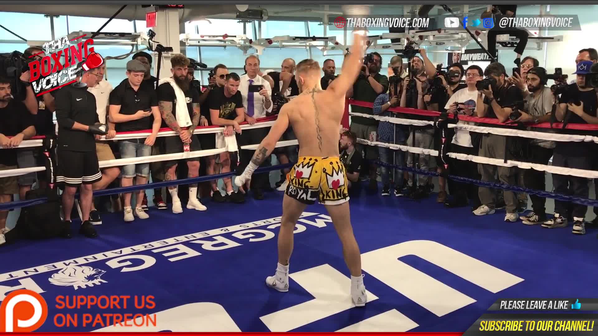 Conor McGregor vs Floyd Mayweather is McGregor a Unique Style Match up