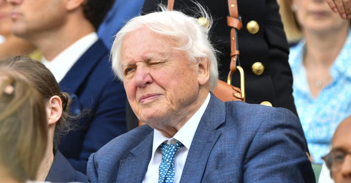 How much is beloved filmmaker David Attenborough worth?