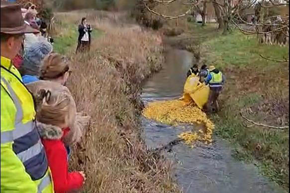 Nearly 2,000 ducks launched at New Year’s Day duck race