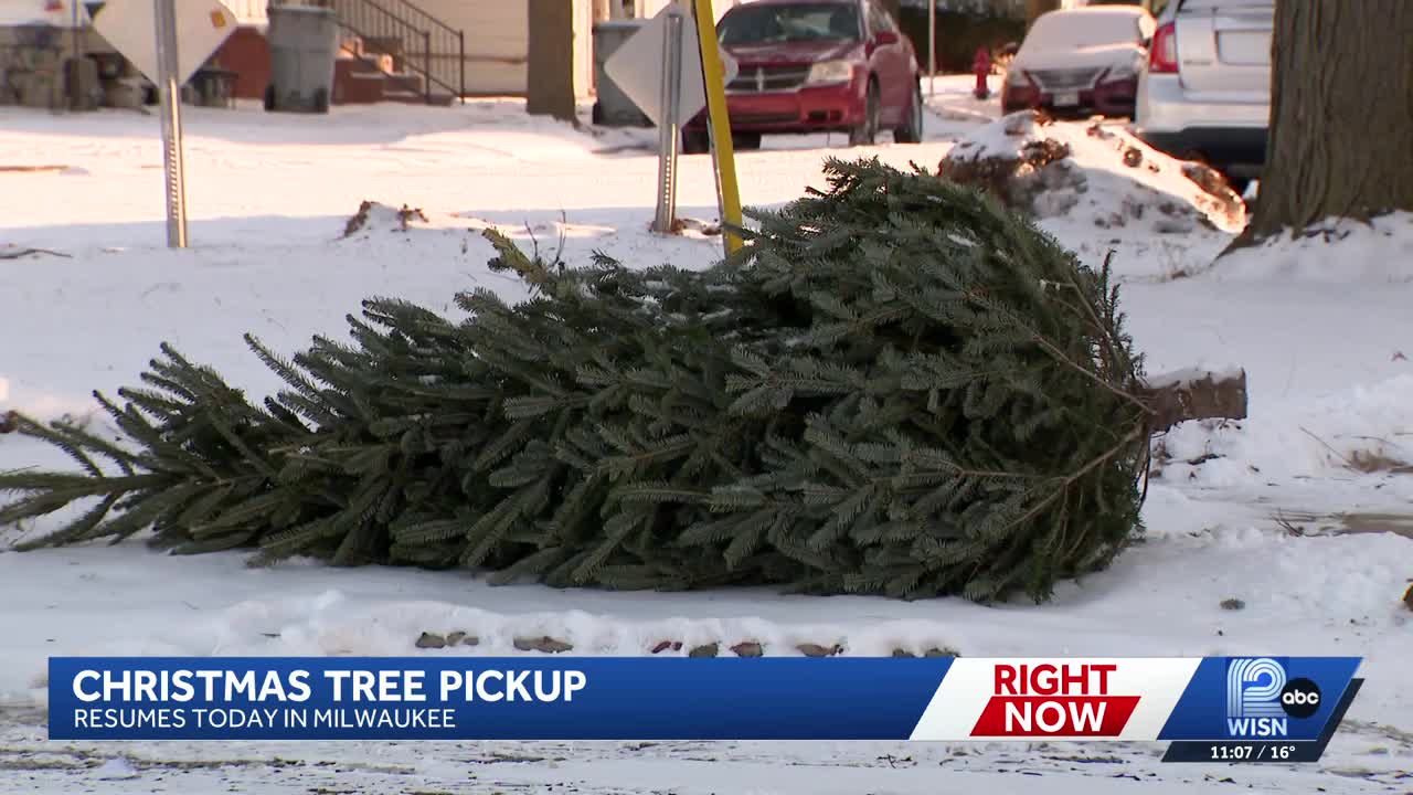 Milwaukee residents begin taking down Christmas decorations as tree ...