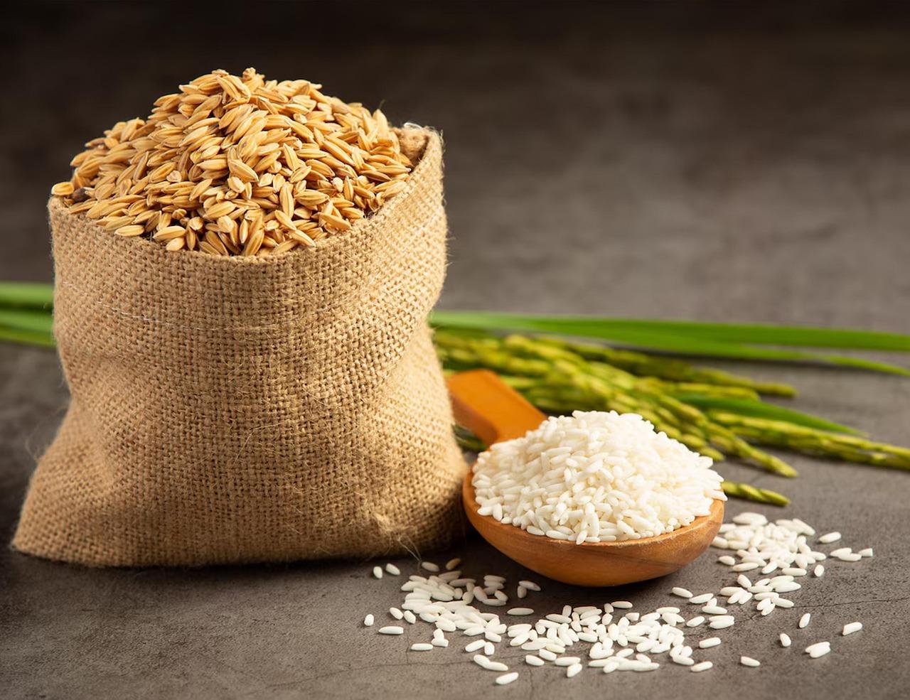 La semilla de arroz Aldebarán impulsa el modelo arrocero santafesino
