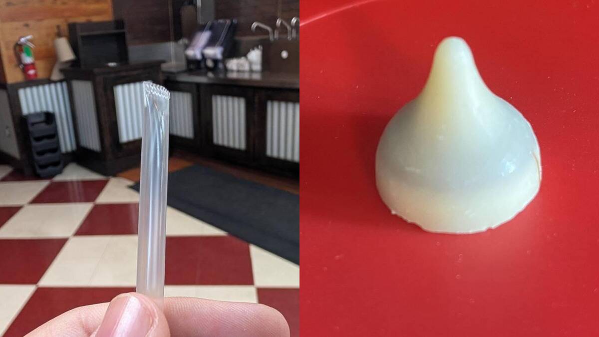 Delightful surprises: A gallery of ordinary oddities