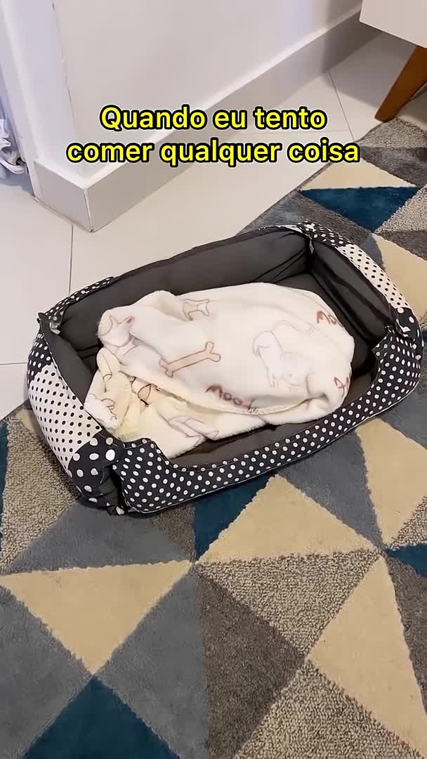 Bica sempre vigilante