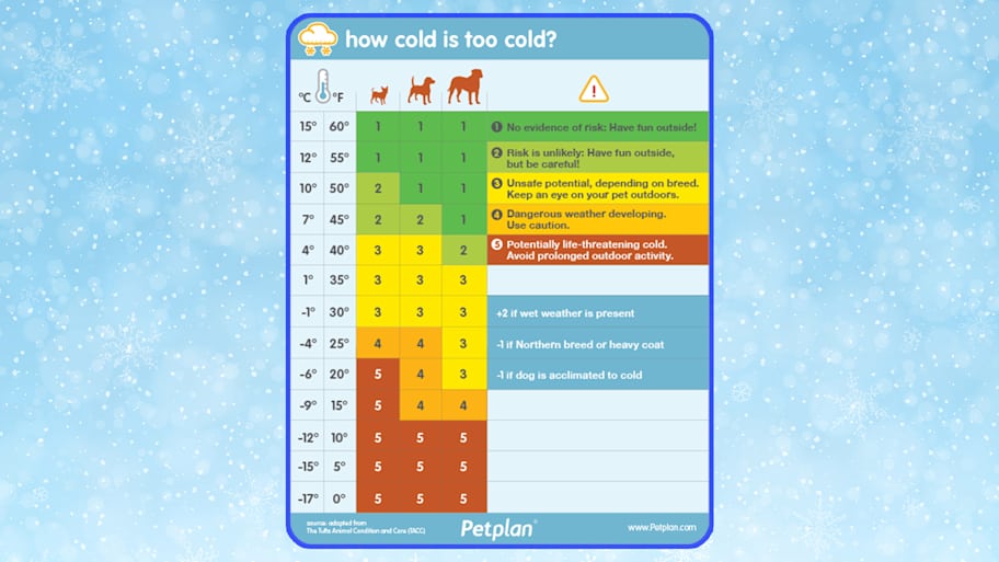 This handy chart tells you when it's too cold to walk your dog