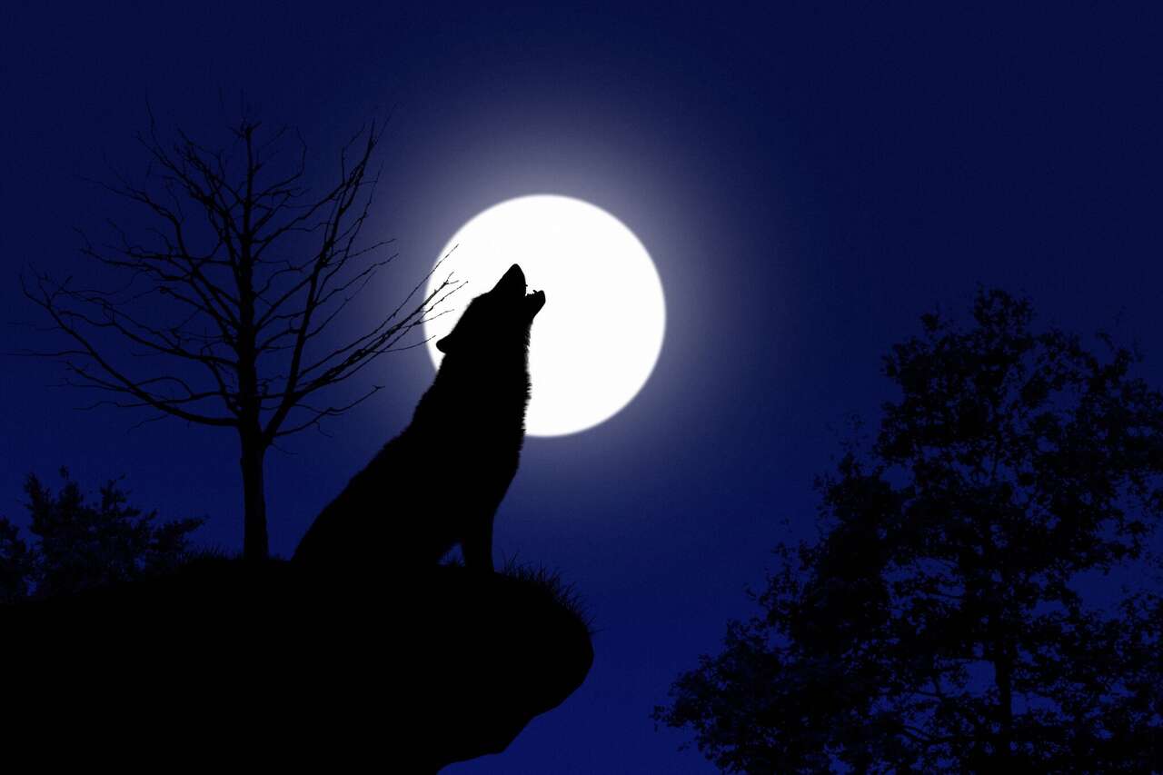 Why January's full moon will look unusually bright this weekend