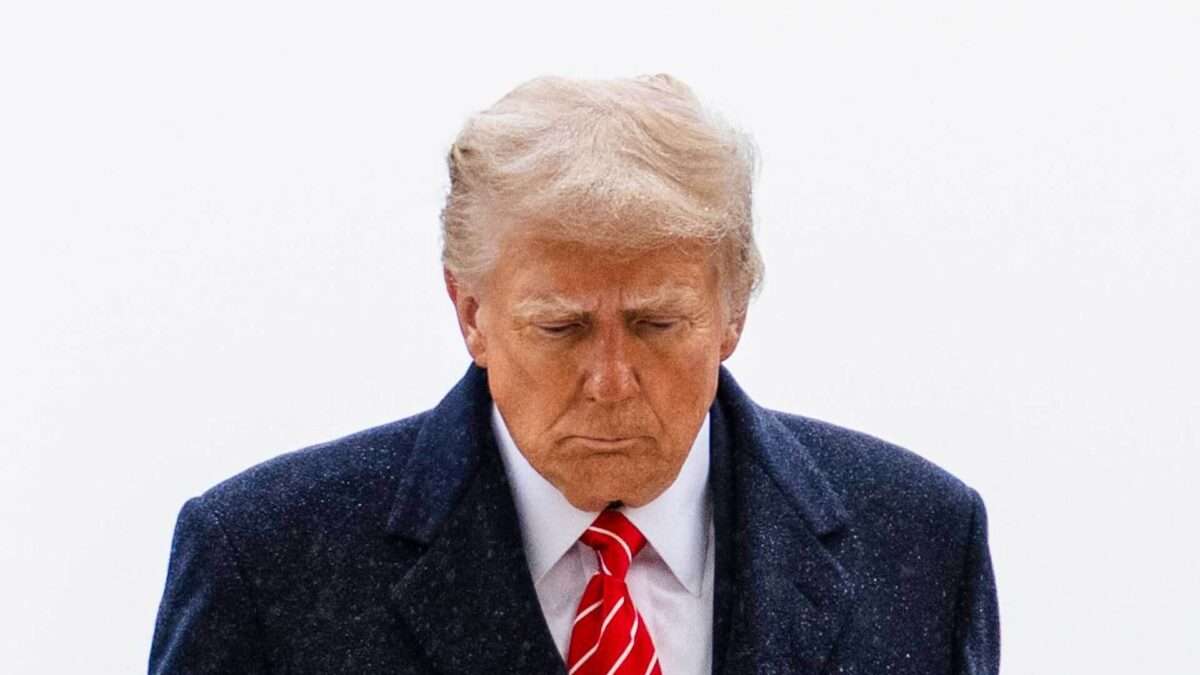 The DOJ thinks cocaine couriers are not worth prosecuting. Trump thinks ...