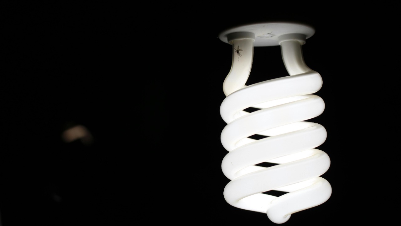 A US state will outlaw fluorescent bulbs in 2026