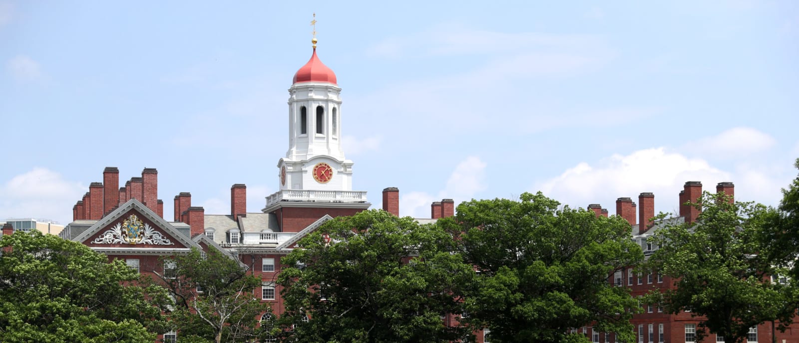 Harvard professor calls out university’s ‘exclusion of white males’ in ...