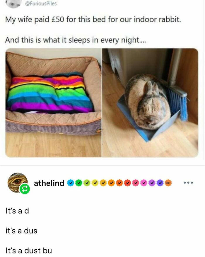 A look back at 2025 through 88 of the funniest and most heartwarming ...