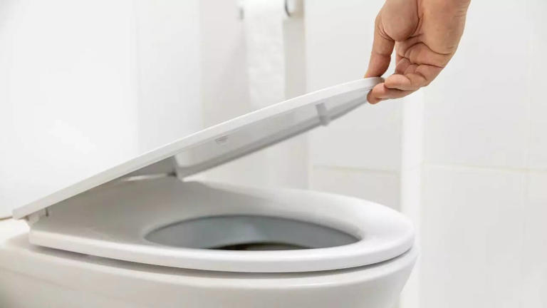 The hidden reason you should close the toilet lid before flushing