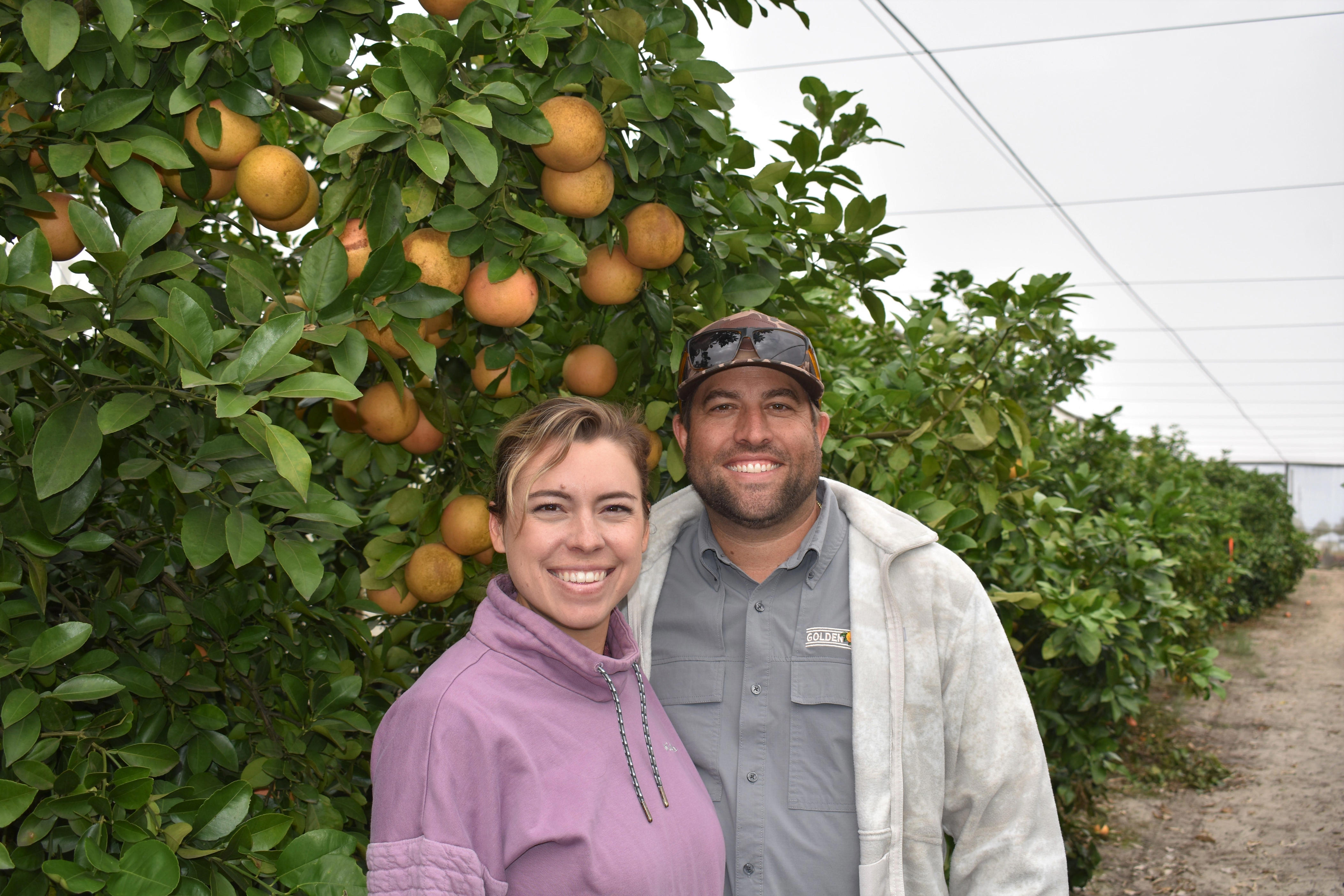 Florida citrus in crisis as invasive predator spreads