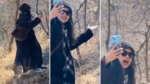 Wild animal angrily reacts to tourist trying to take a selfie in ...