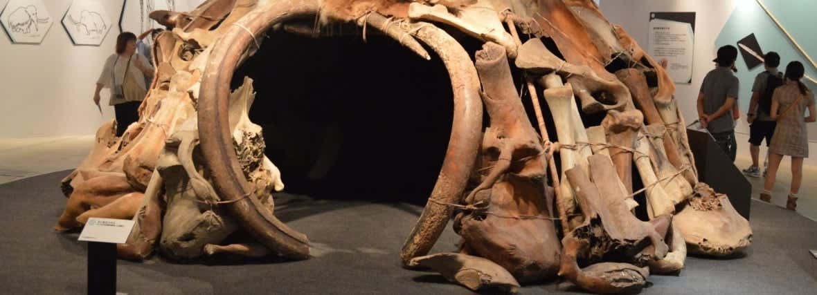 Radiocarbon dating finds Ukraine’s mammoth bone shelters were used ...