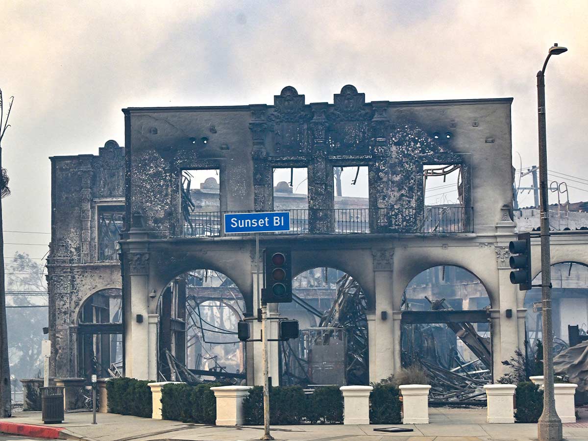 The devastating impact of wildfires on LA in 15 photos