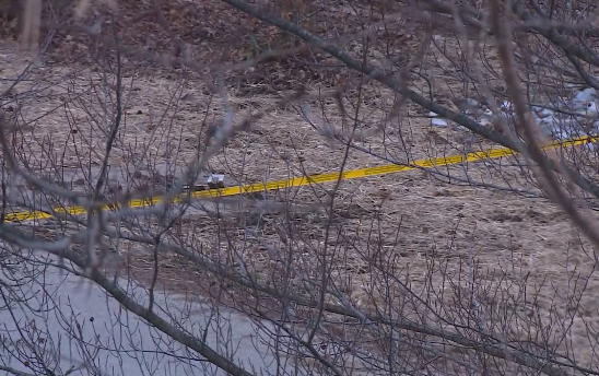 Police investigating at Mount Airy Forest; body appears to be pulled ...