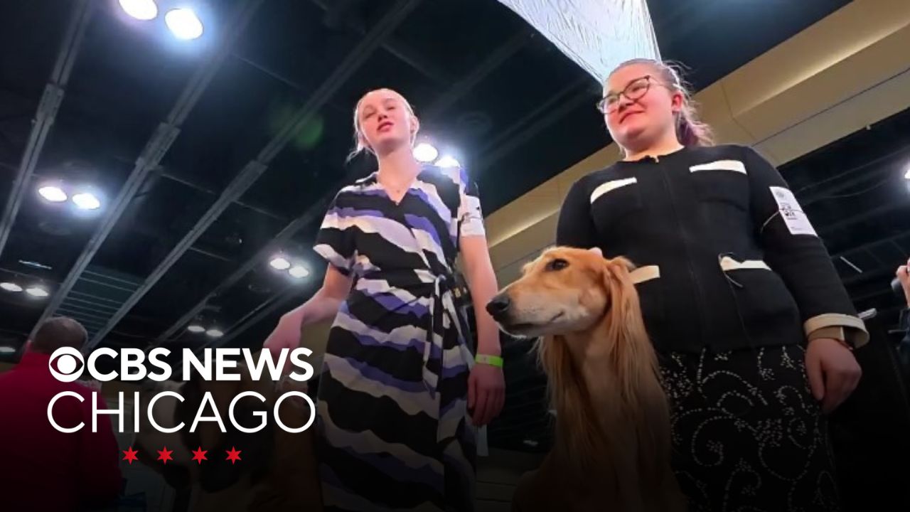 Great American Dog Show returns to Tinley Park Convention Center