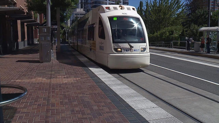 Portland man sues TriMet for alleged assault by security guards on MAX ...