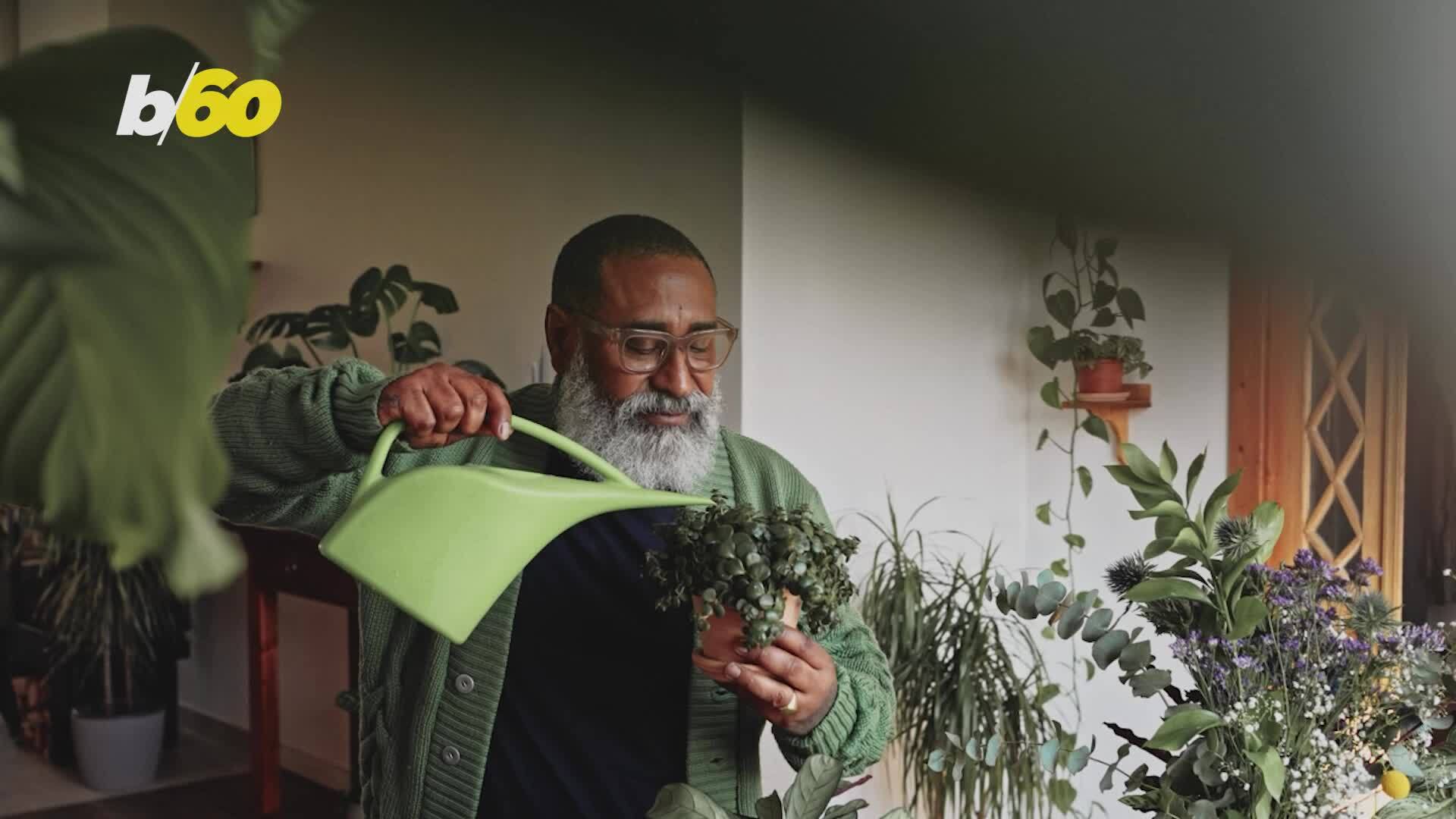 Simple plant-care tricks to keep your greenery alive while you’re away