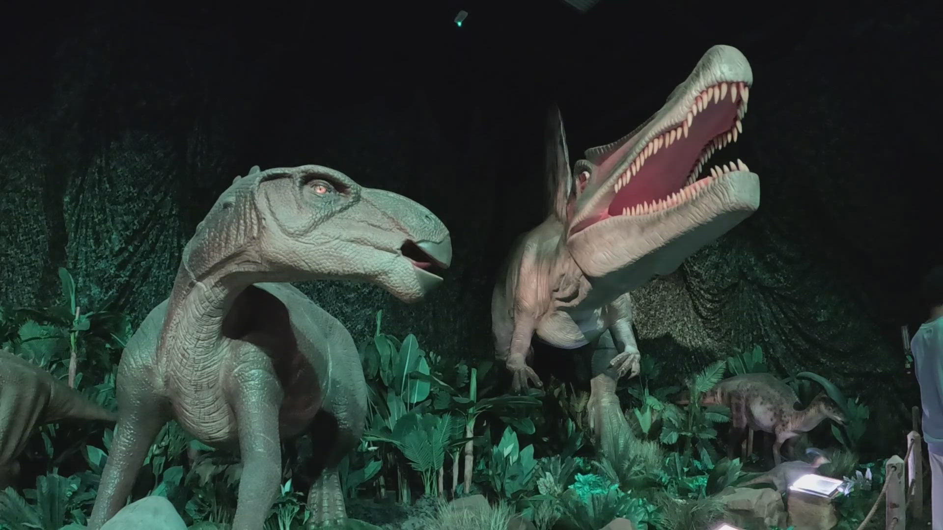 Digging up some good news at a Denver dino exhibit