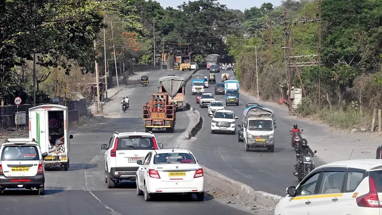 Mumbai: Activists seek stronger animal safety measures at key crossings