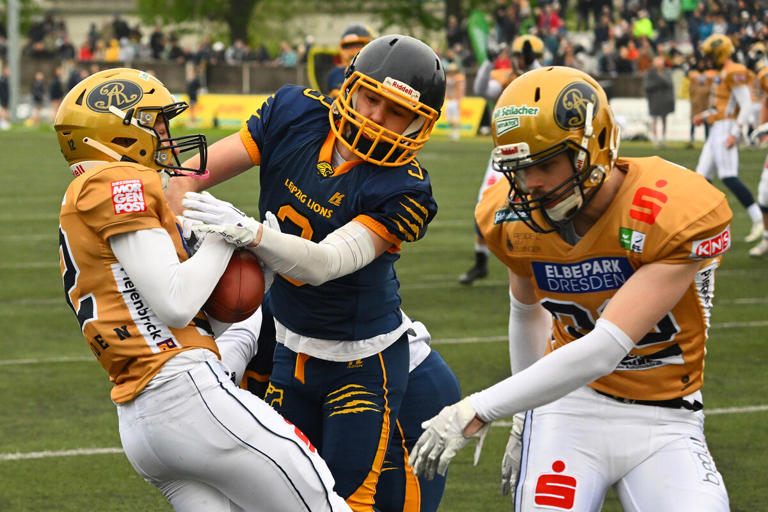 Gleich zwei Ostkracher für die Monarchs in der Vorbereitung