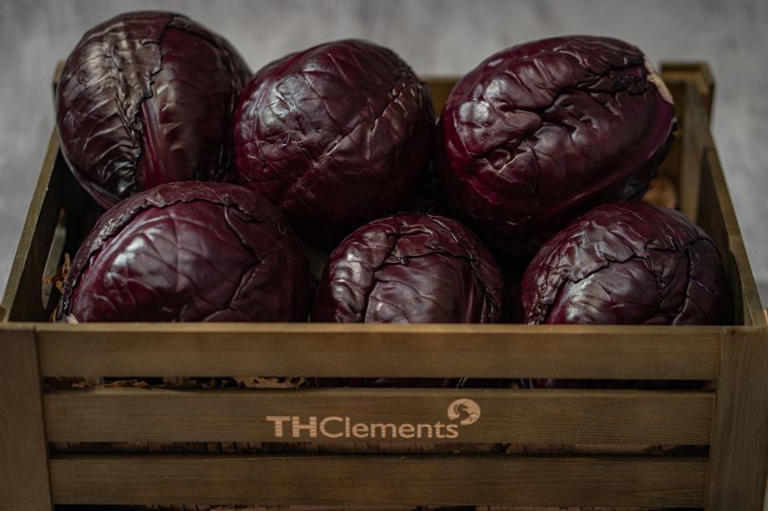 Lincolnshire farm says red cabbage is 'vegetable of the moment' as ...