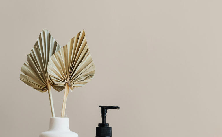 What is project pan and how it encourages mindful use of makeup