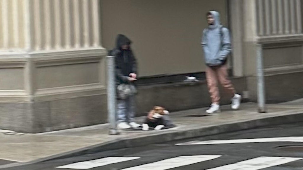 Police warn of dog attacks in Philadelphia's Center City linked to pit bull