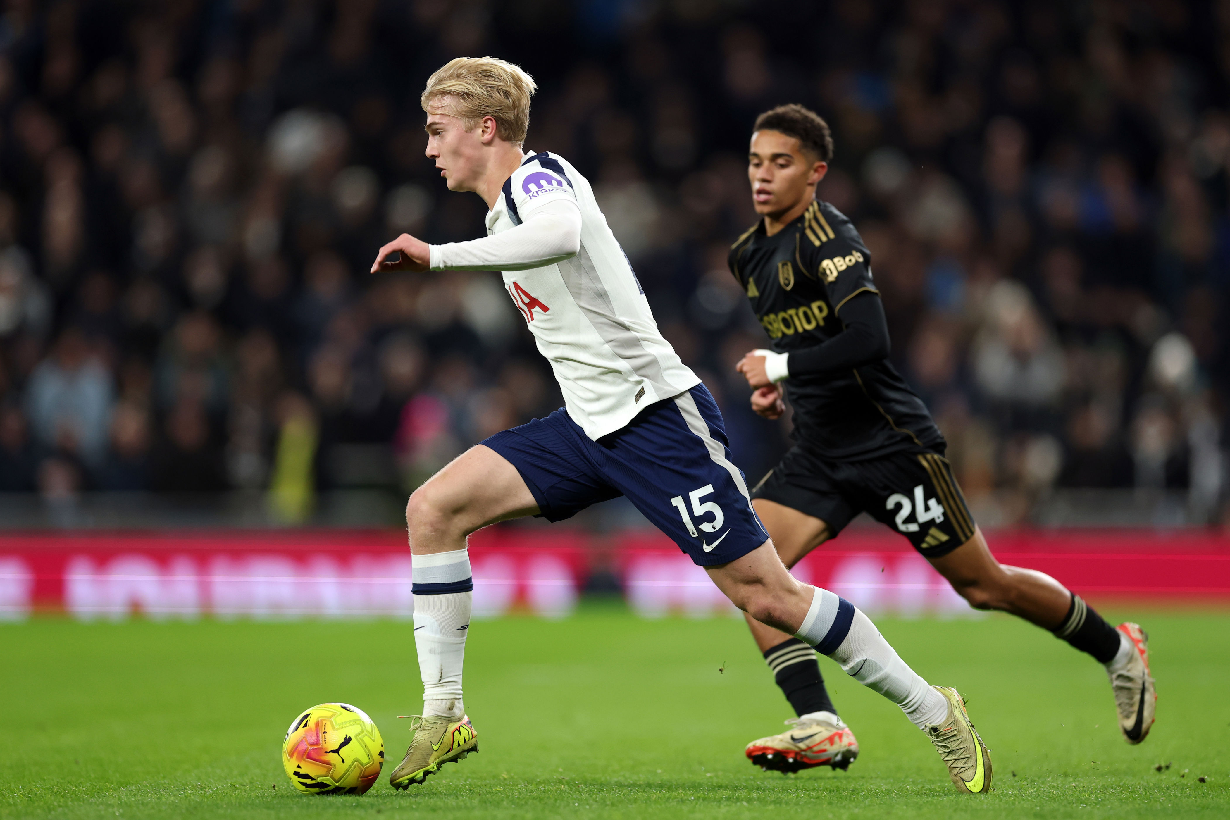 Tottenham vs Sunderland early injury news as 14 ruled out and 2 doubts