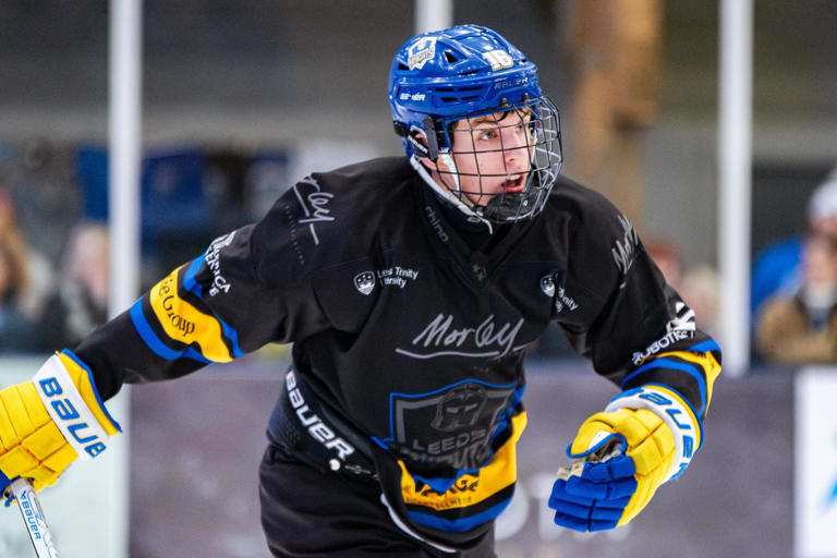 Swindon Wildcats v Leeds Knights: Ryan Aldridge targets repeat show in ...