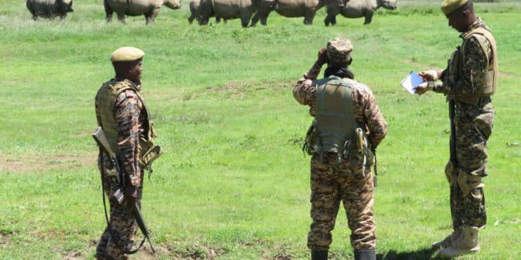 World mourns death of Africa's last remaining super tusker in Kenya