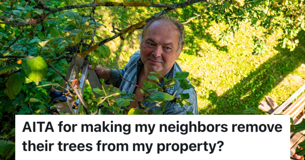A homeowner doesn’t get along with their neighbors, but then they found ...