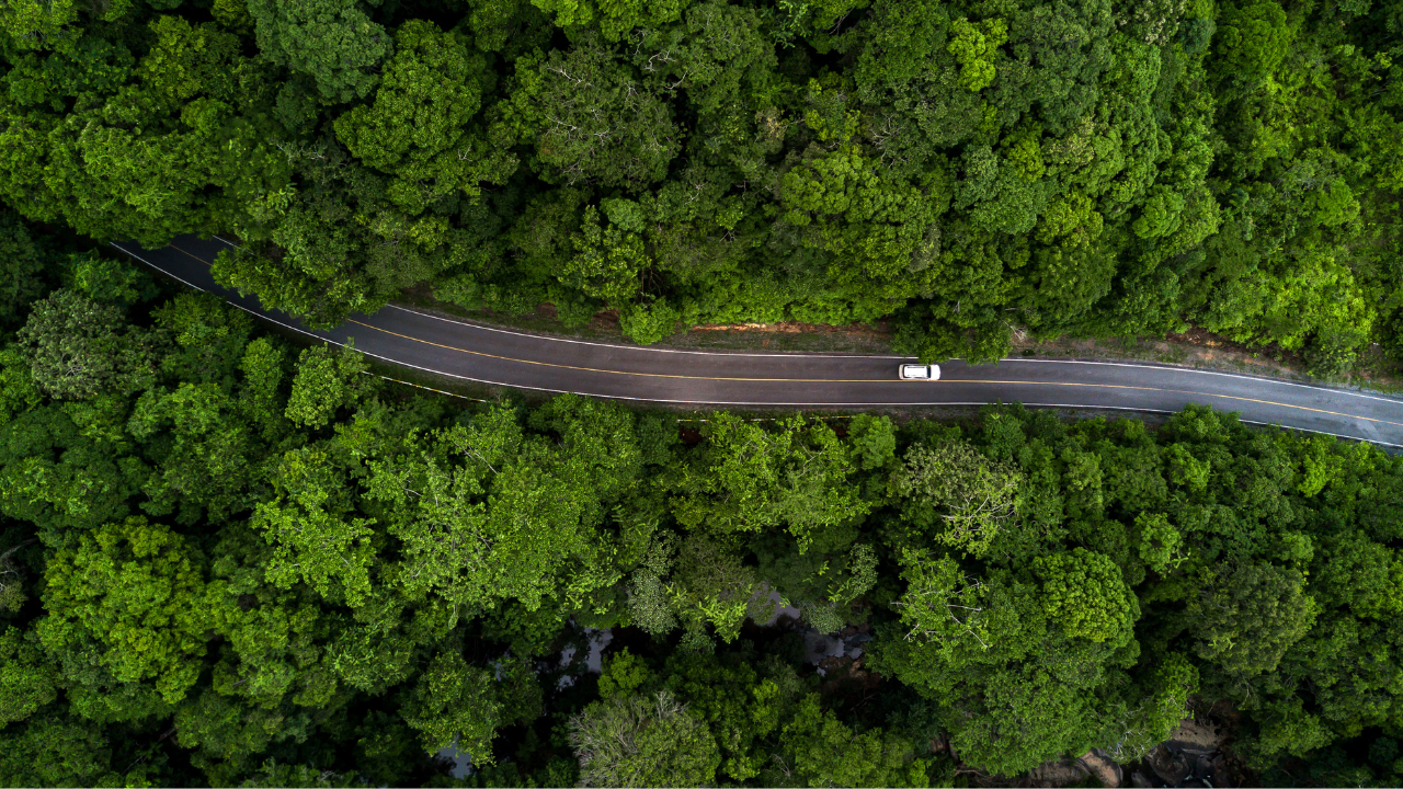 Where Indians are travelling to escape smog in 2026, from Coorg to Tawang