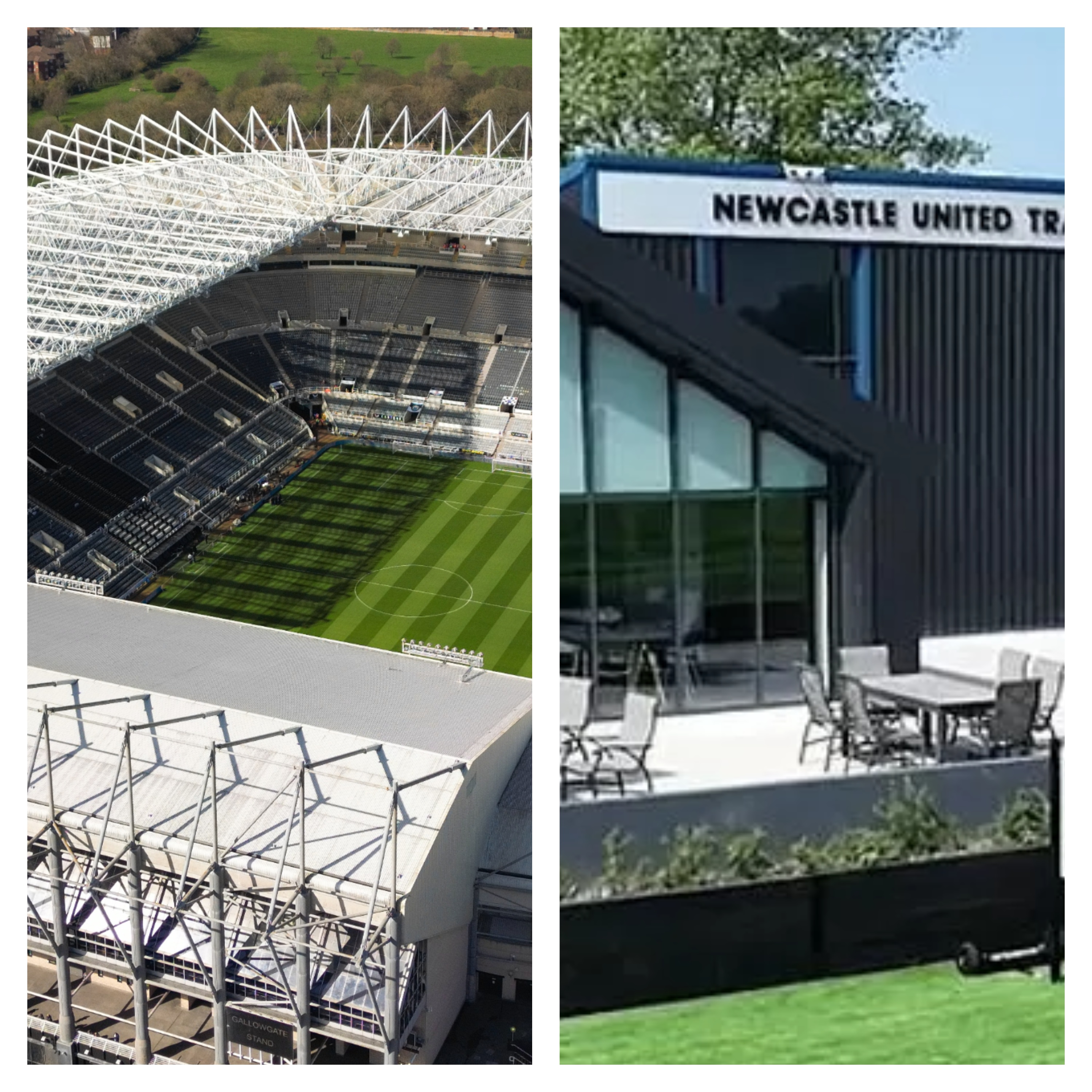 Newcastle United star goes public on stadium and training ground debate