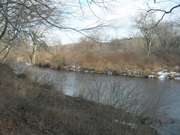 CT develops management plan for large state forest. It contains ...