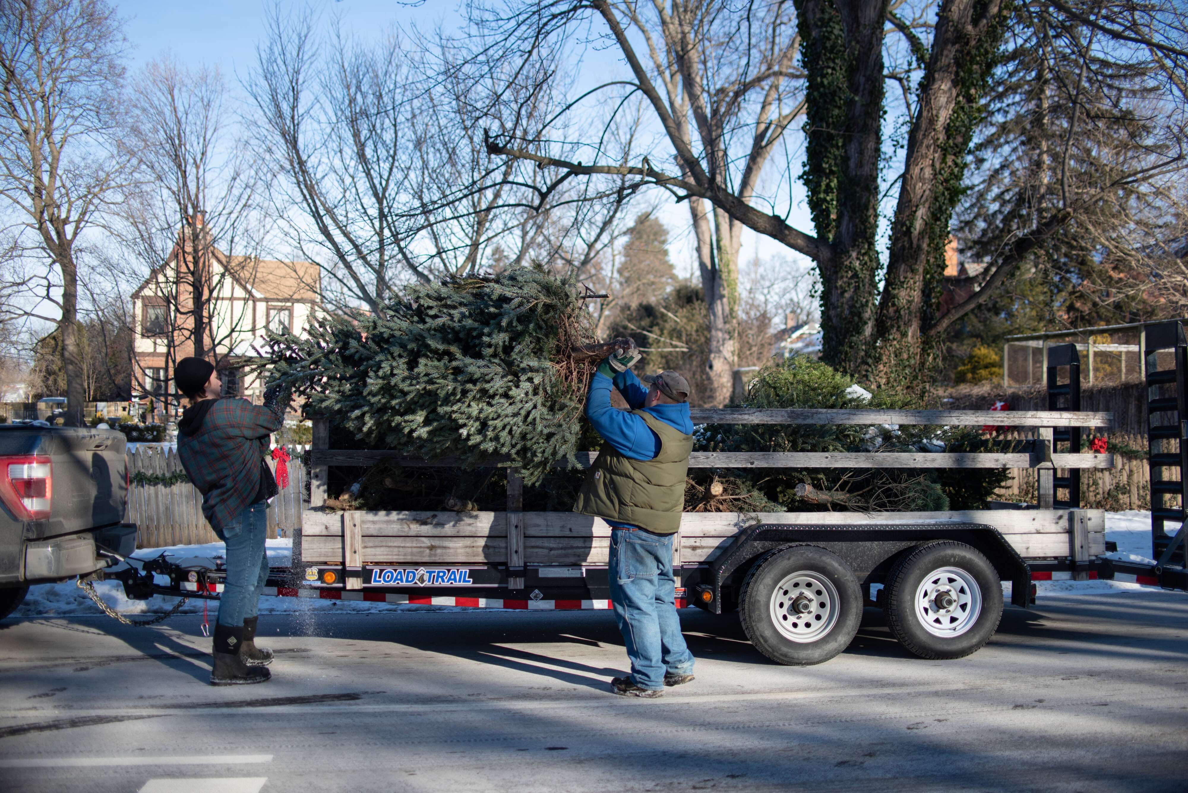 Taking down the Christmas tree? Boy Scouts will pick it up curbside in ...