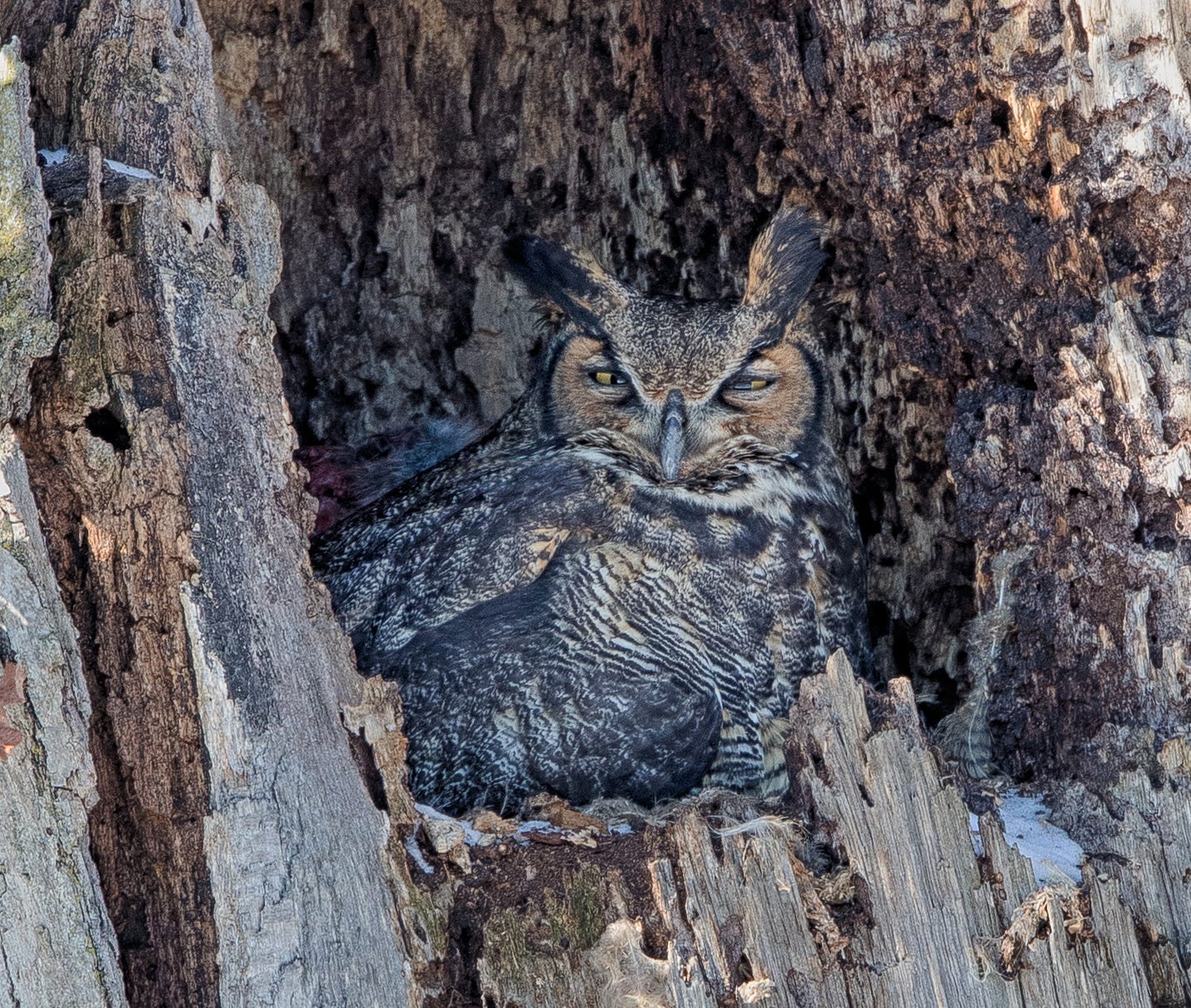 Magazine offers informative, engaging material about nature