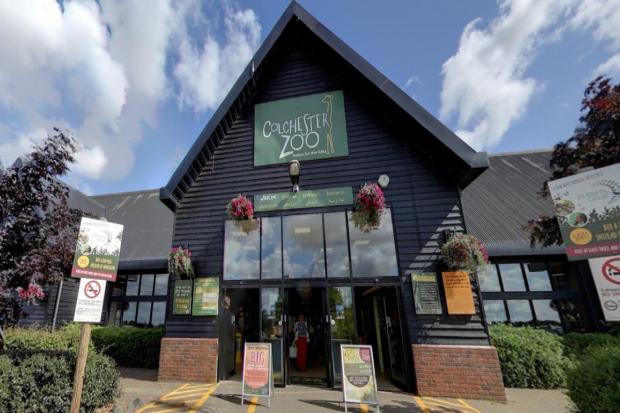 Here's how you can visit Colchester Zoo for as little as £10