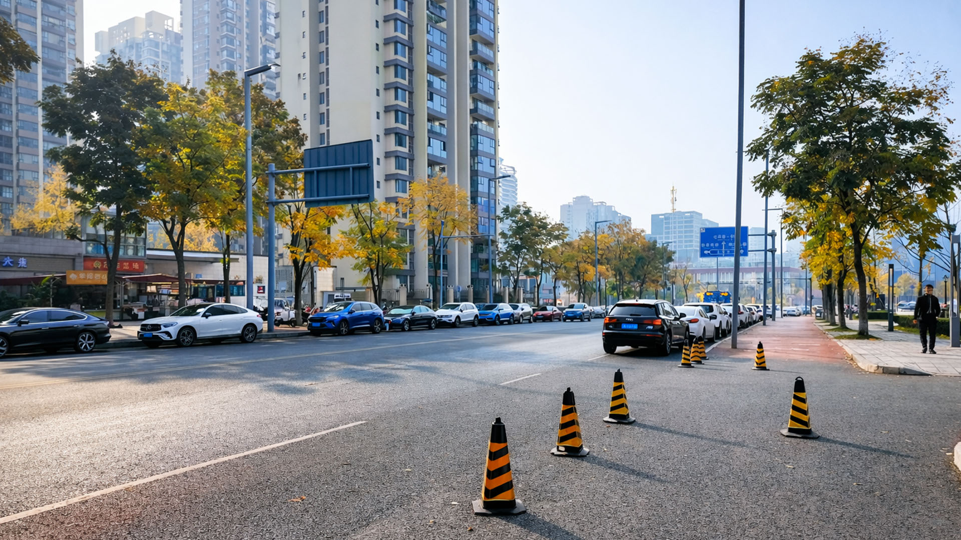 Golden trees bring life to Chengdu’s streets
