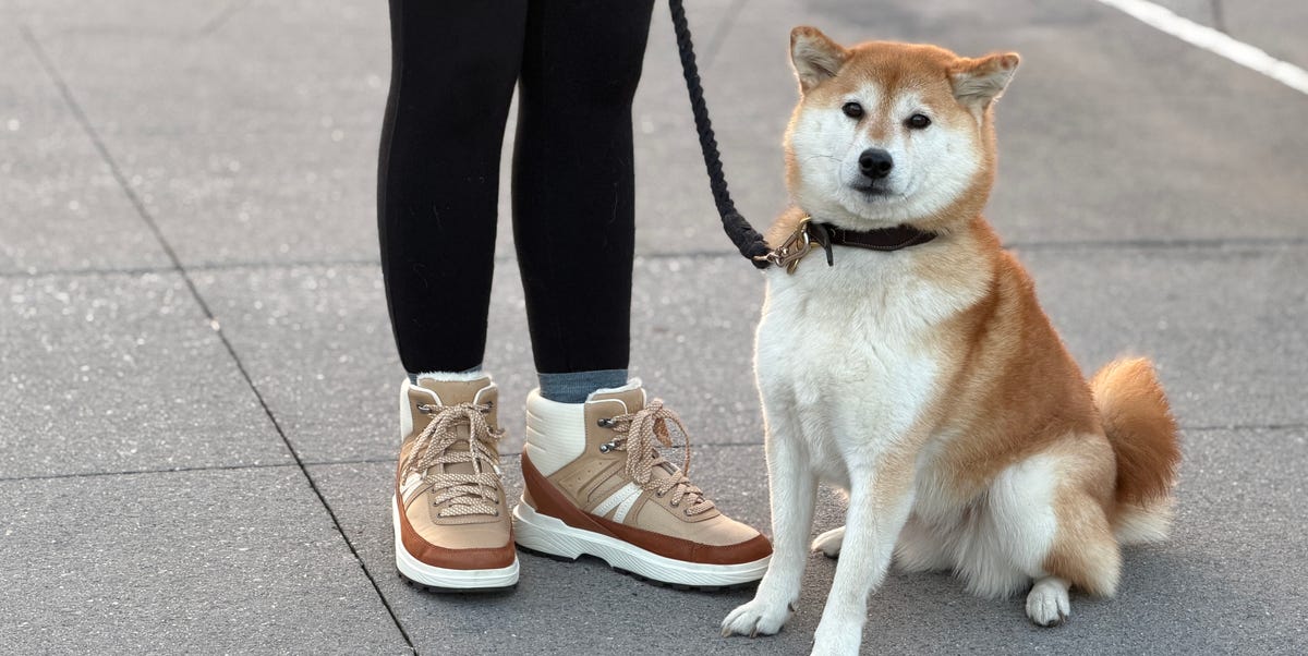 These are my go-to boots for walking my dog in the winter—here's why