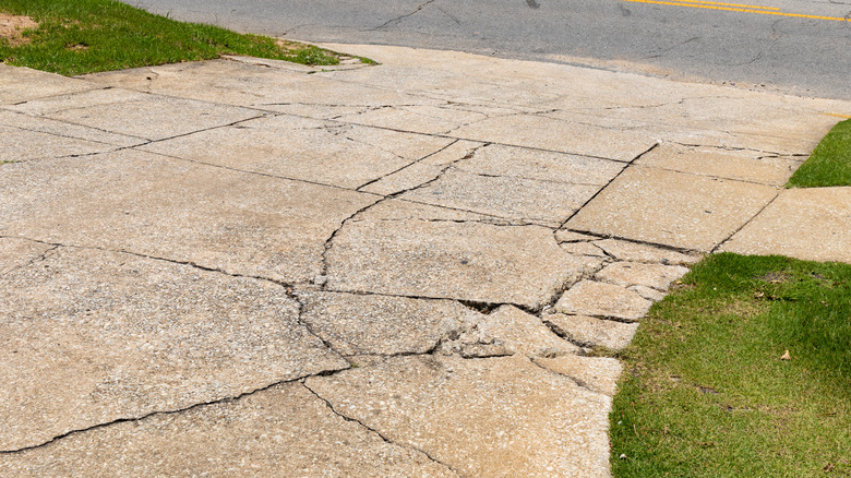 11 reasons why driveway cracks keep coming back & how to stop them for good