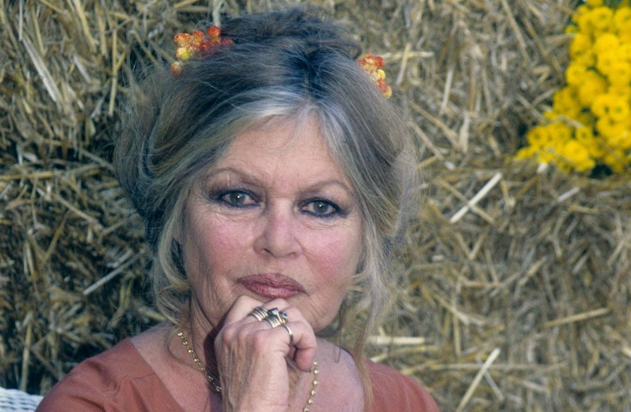 Brigitte Bardot : sa fondation tire la sonnette d’alarme sur la vague d ...