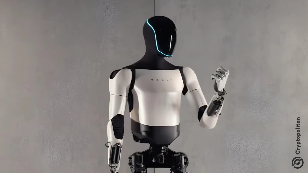 How close is Elon Musk to delivering a functional Optimus robot?