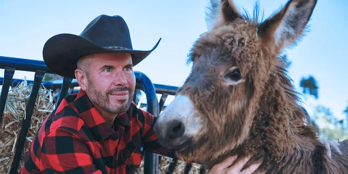 Animal lovers, you'll want to tune in to 'Donkey King' on ABC for the ...